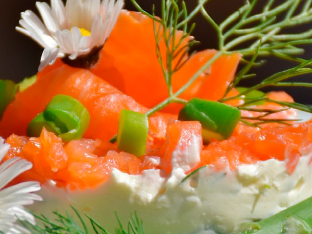 Forside - Hundested Havn